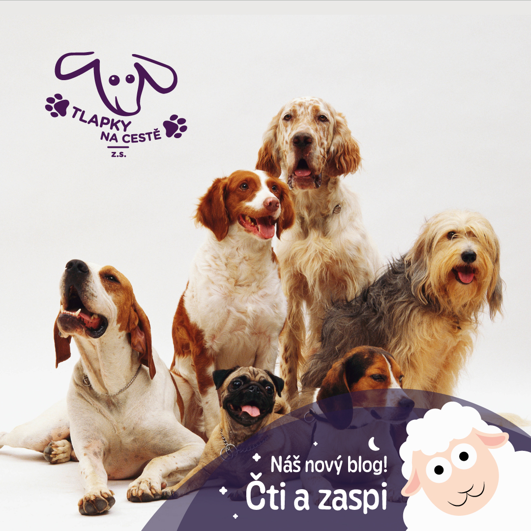 3 důvody, proč pohádkami podporujeme Tlapky - Zaspi.cz